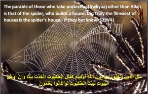 Spider – Quran In Context